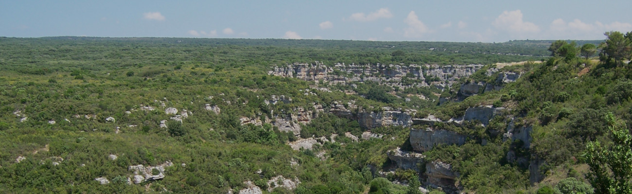 Minervois ⭐️ Top Visite Cave & Dégustation Vin ️ 2024