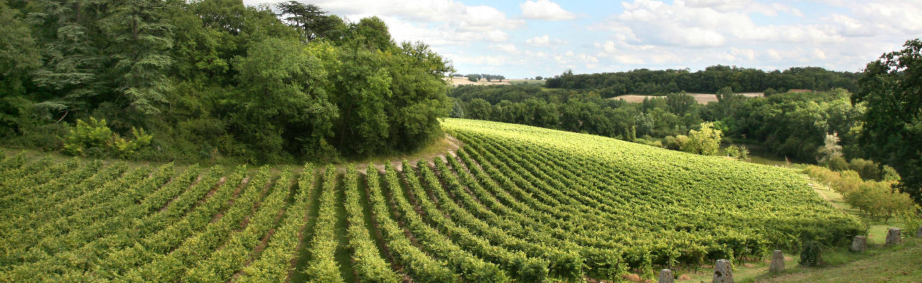 Armagnac ⭐️ Best Distillery Tours & Tastings ️ 2024