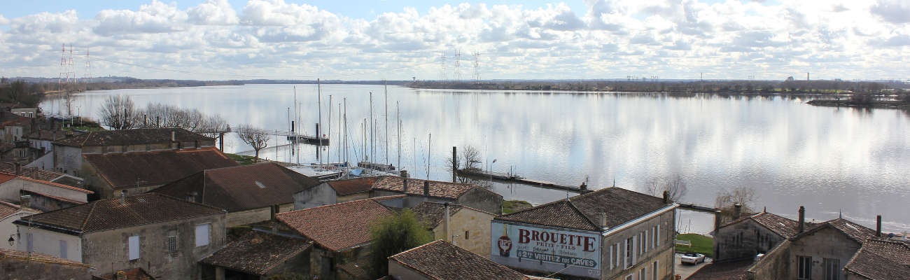 Vignoble Rive droite Bordeaux ⭐️ Visite Cave & Dégustation Vin ️ 2024