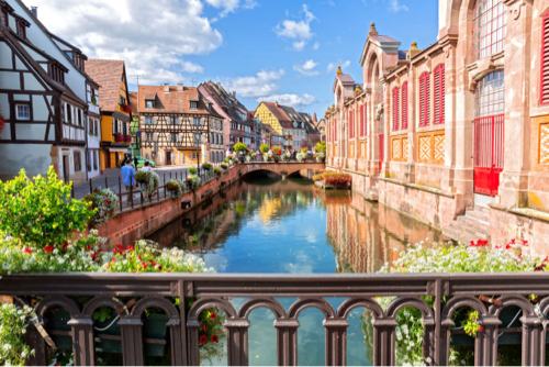 Colmar ⭐️ 10 Best Wineries & Vineyards to Visit ️ 2024